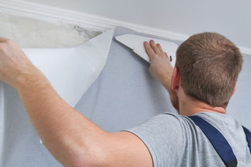 What are the Pros and Cons of Wallpaper Vs Paint - Unique Design Blog